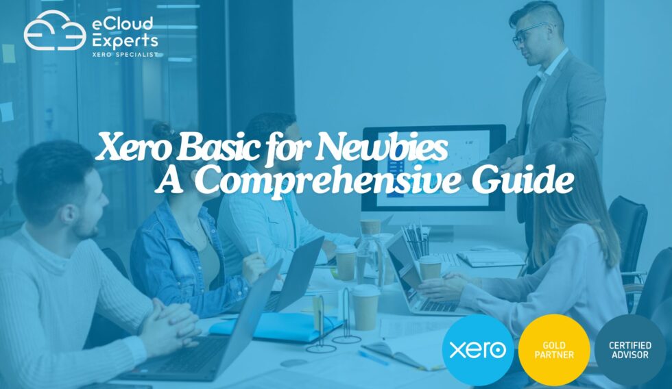 Xero Basics for Newbies: A Comprehensive Guide | Xero Accountant | Xero ...