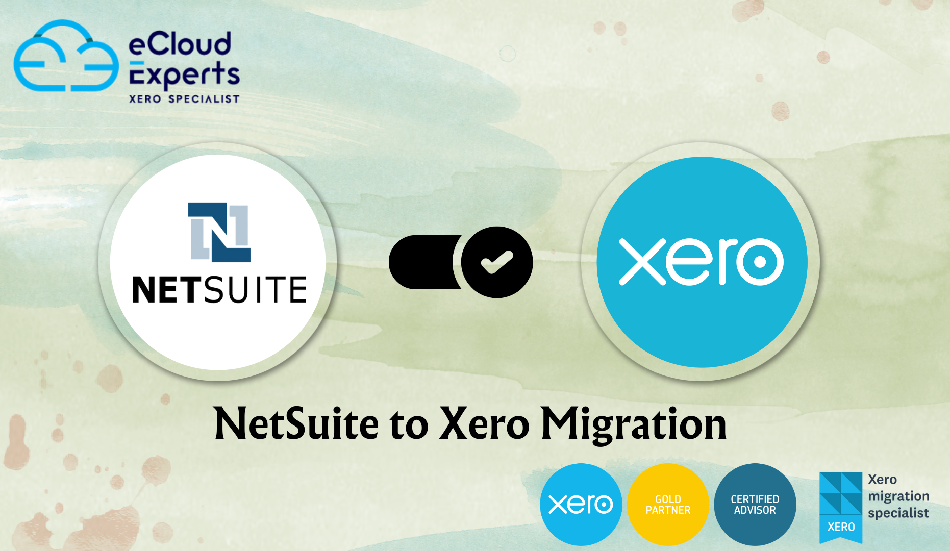 Successful NetSuite to Xero Migration for Signature Illumination ...
